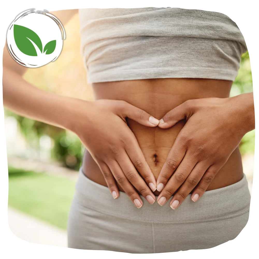 Best Natural Gut Health Supplements for Digestive Wellness – Zenmen Health