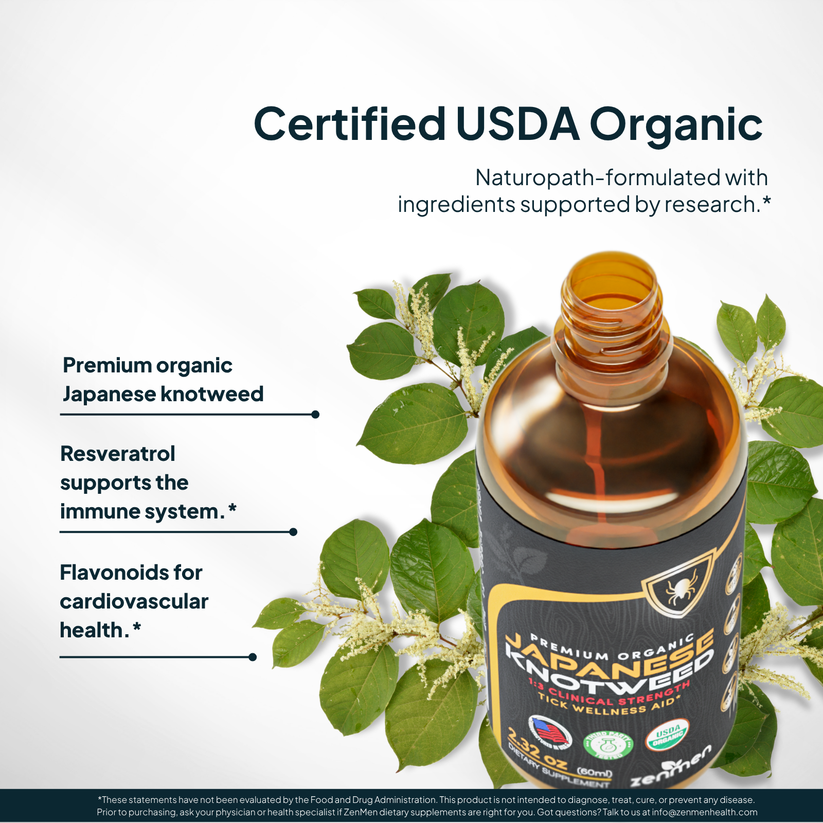 Get Natural Wellness with Zenmen’s Japanese Knotweed Extract – Zenmen ...