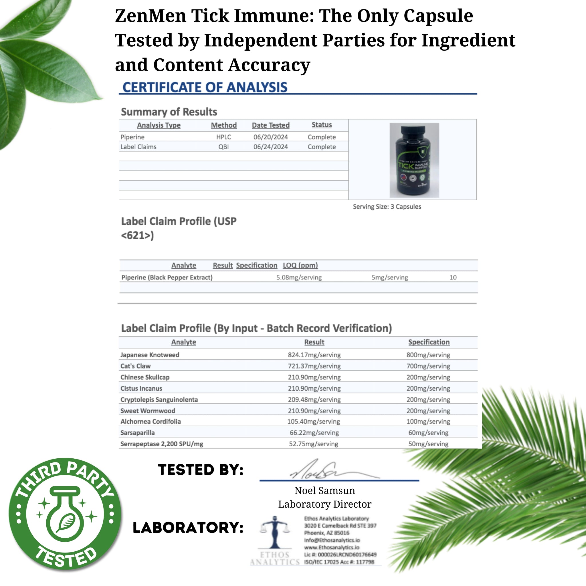 Tick Immune Support: Herbal Defense for Tick Bite – Zenmen Health