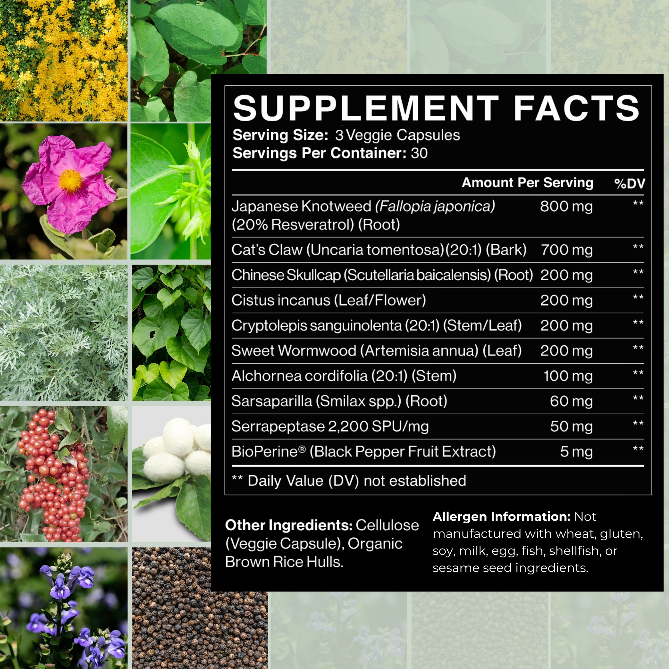 Strengthen Your Body’s Defense with Tick Immune Support – Zenmen Health